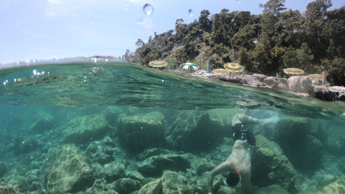 Lake Adger Swimming Spots-Best Places to Cool Off on a Hot Day